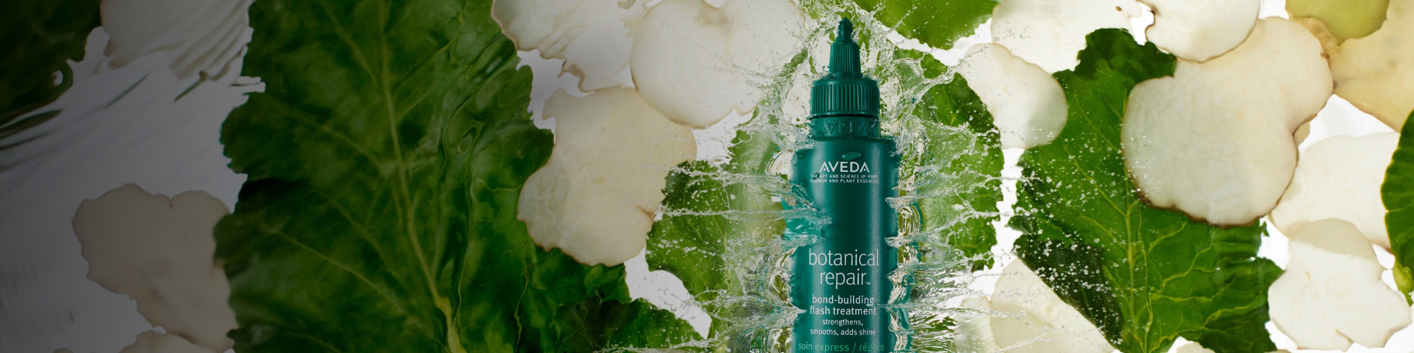 Botanical Repair™ | Repair Hair Damaged By Heat | Aveda