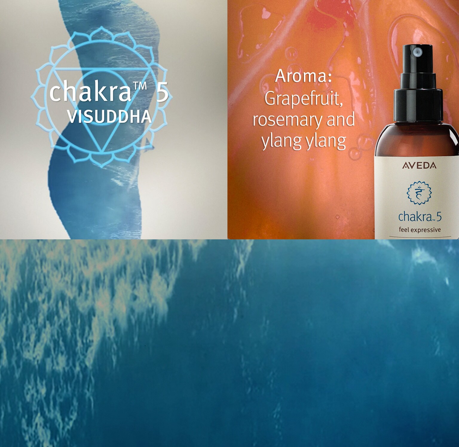 Chakra 5 - Throat Chakra Balance | Aveda